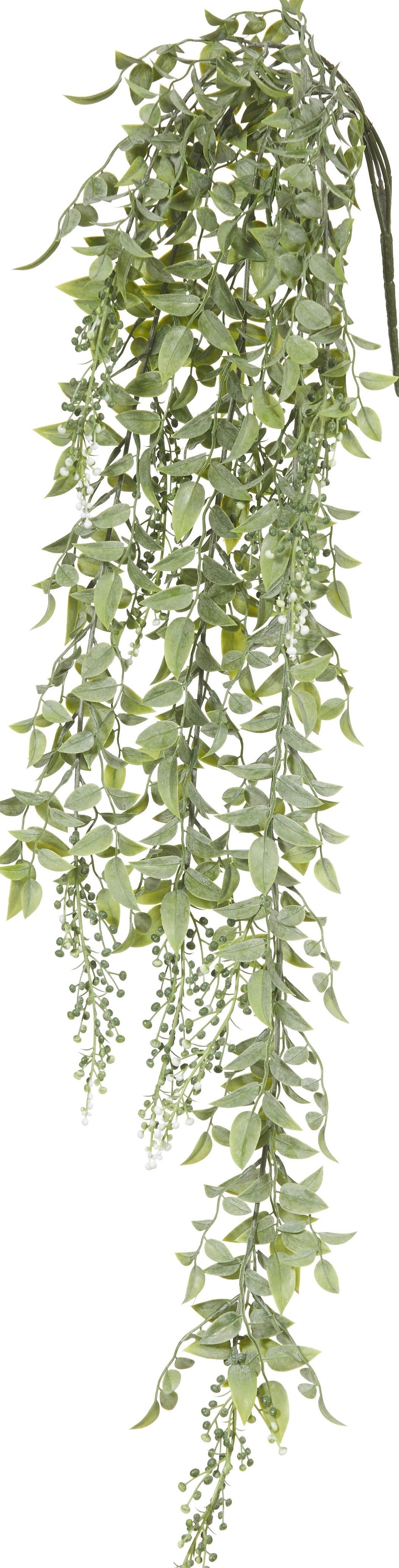 Rogue Budding Hanging Bush | Aqua Living